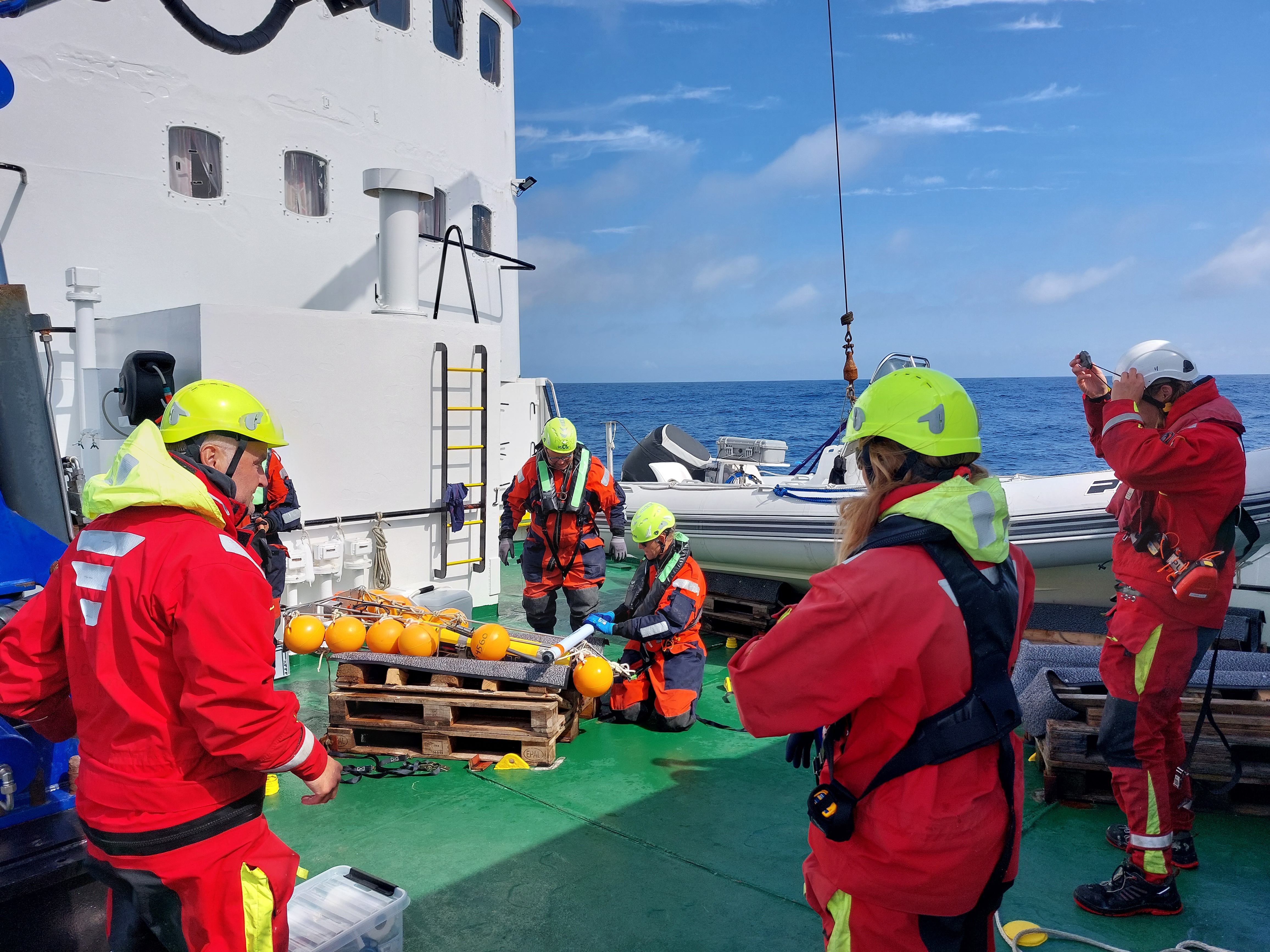 New Research Highlights Role of Danish North Sea Platforms in Marine ...